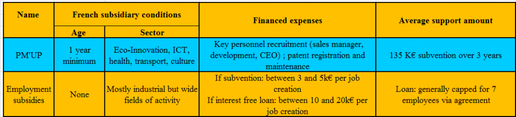Employment subsidies in France : what you need to know
